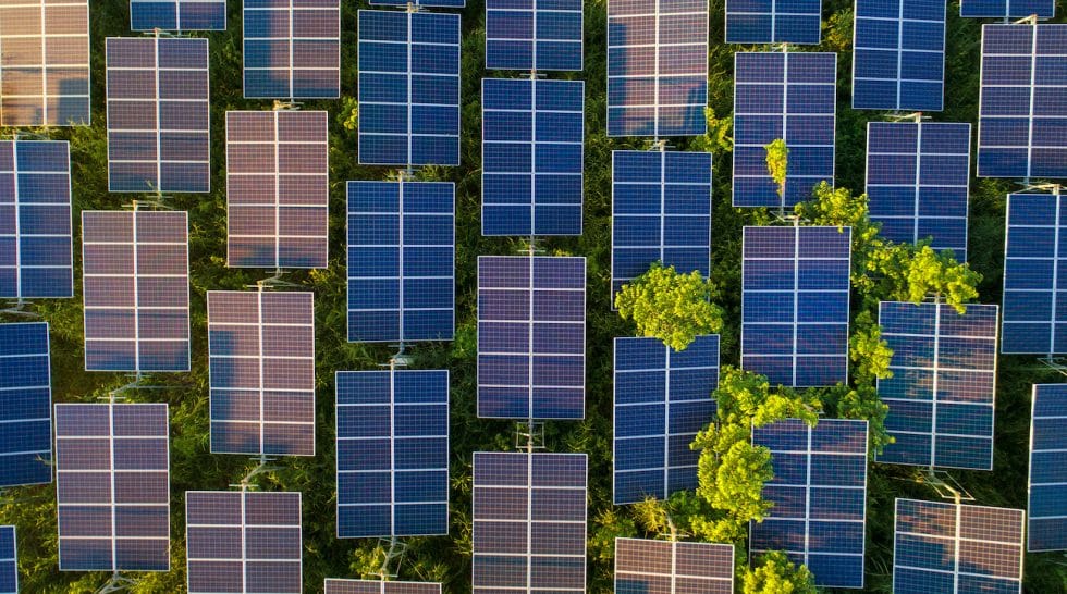 Accelerate your CSR strategy - Teach on Mars